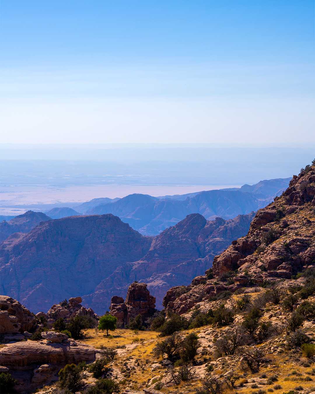 Dana Reserve - Khashm Ismail 6 February, 2026